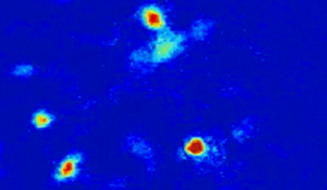 2018 in Review | Columbia University Irving Medical Center