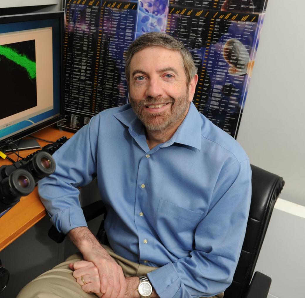 Putrid Compound May Have a Sweet Side Gig as Atherosclerosis Treatment ...