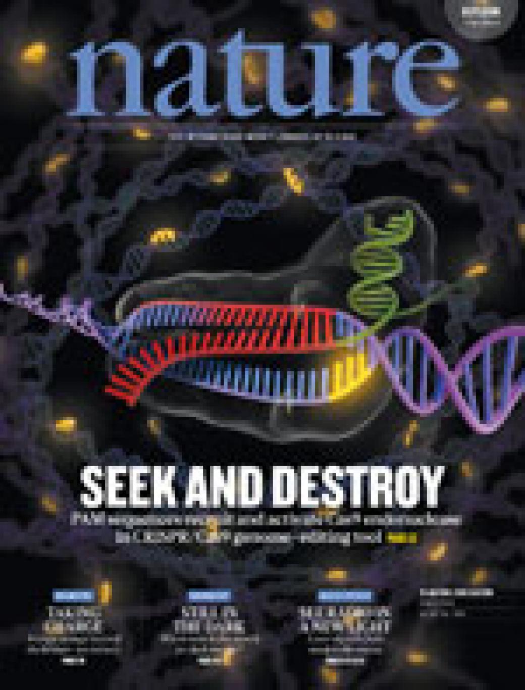 Drawing Back DNA “Curtains” on New Gene-Editing Method | Columbia ...