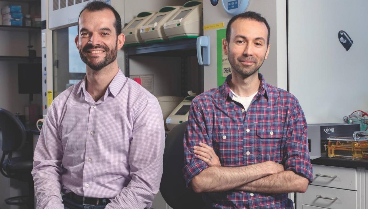 The Future of Gene Editing | Columbia University Irving Medical Center