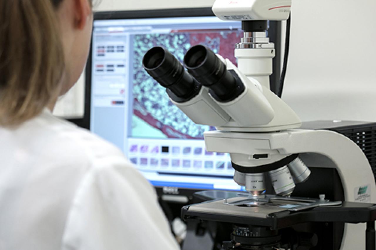 Five Stem Cell Projects Funded by NYSTEM | Columbia University Irving ...