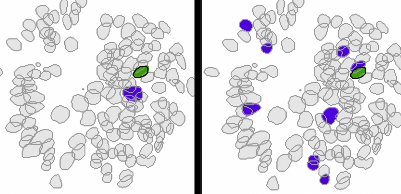 Why Are Memories Attached to Emotions So Strong? | Columbia University ...