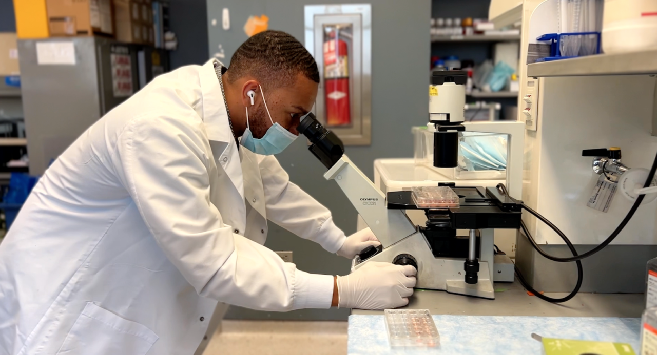 Columbia Medical School Offers Summer STEM Opportunities for Hundreds ...