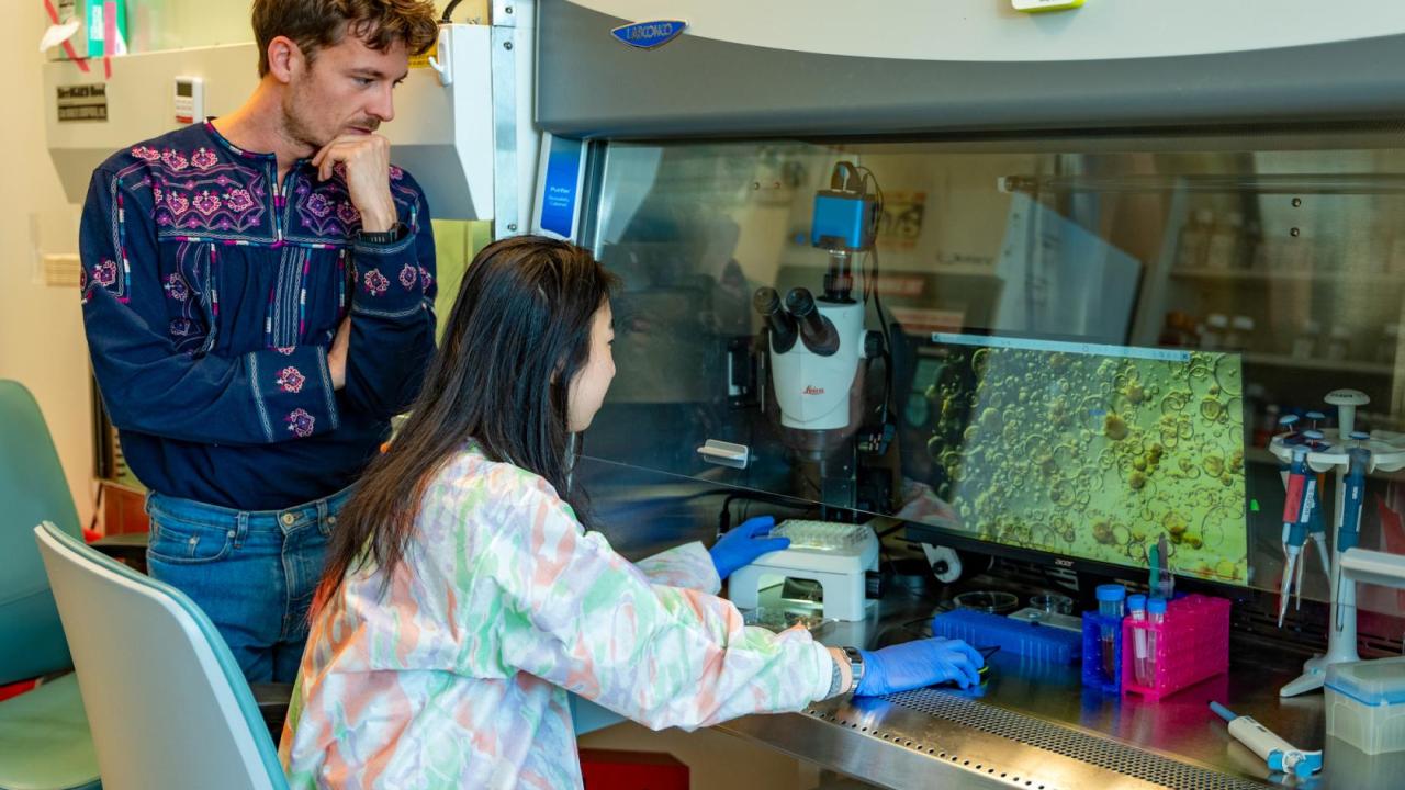 Origin Stories | Columbia University Irving Medical Center