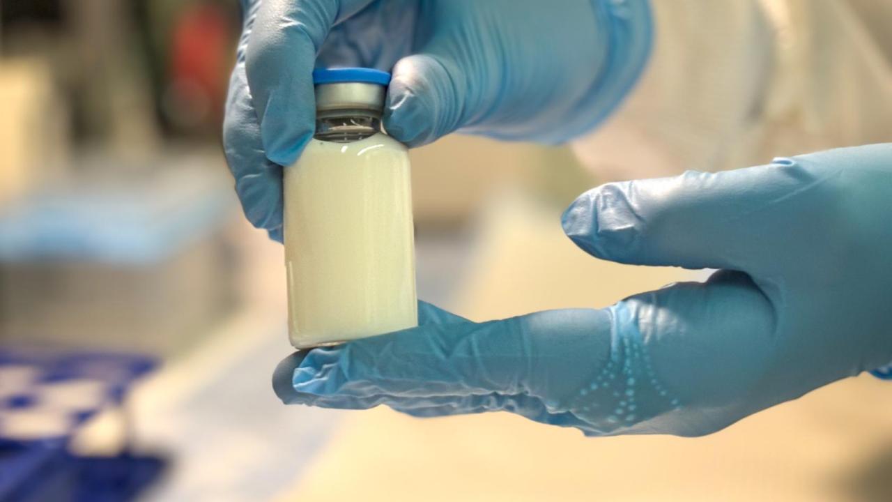 Omega-3 Therapy Prevents Birth-Related Brain Injury in Newborn Rodents ...