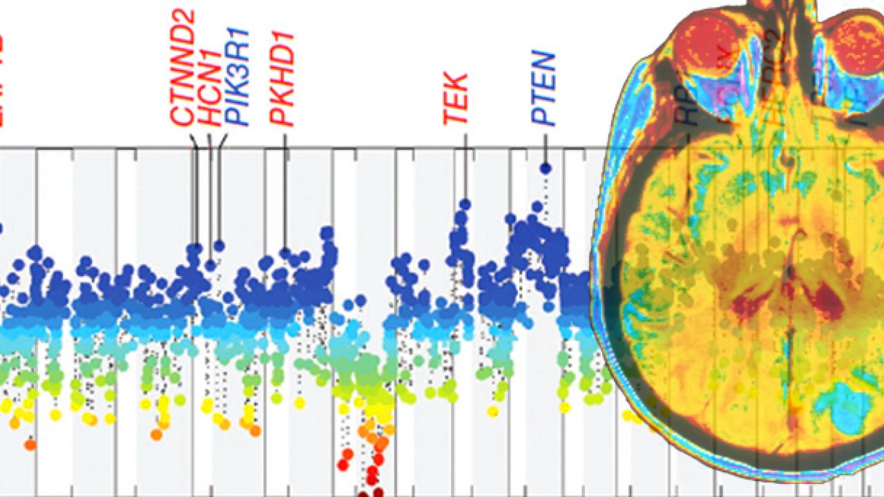 Study Reveals Genes That Drive Brain Cancer | Columbia University ...