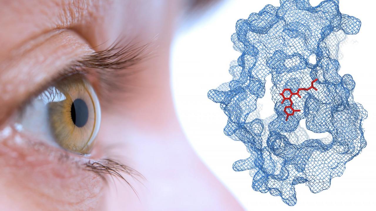 Drug Shows Promise for the First Time Against Metastatic Melanoma of ...