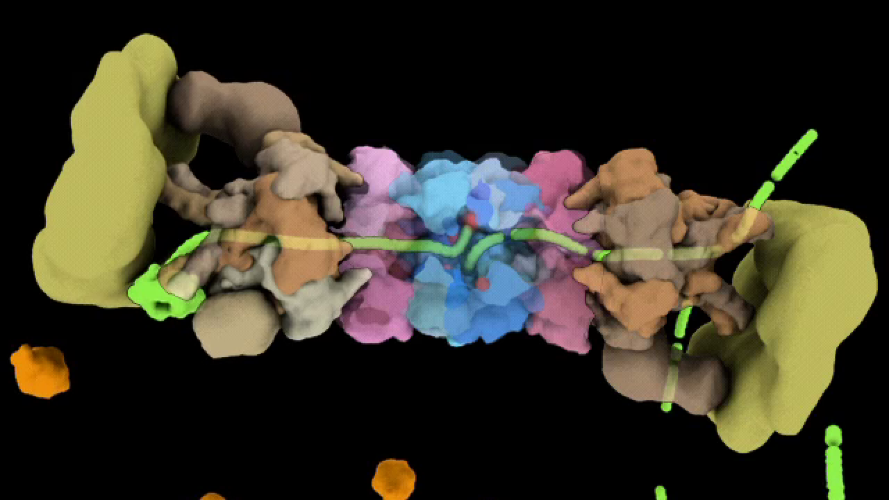 Improving Brain’s Garbage Disposal May Slow Alzheimer’s Disease ...