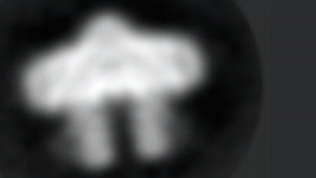 Electron Microscopy Reveals How Vitamin A Enters the Cell | Columbia ...