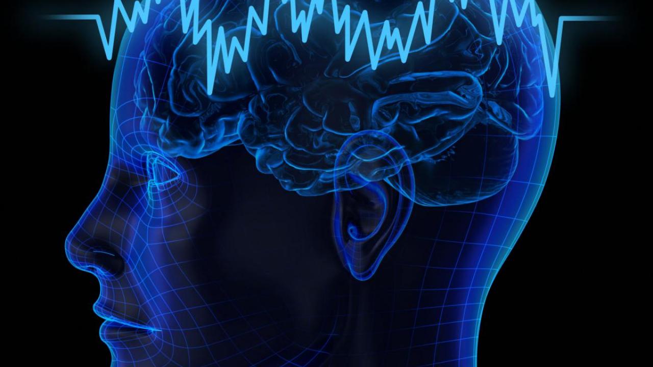 Common Epilepsies Share Genetic Overlap with Rare Types | Columbia ...