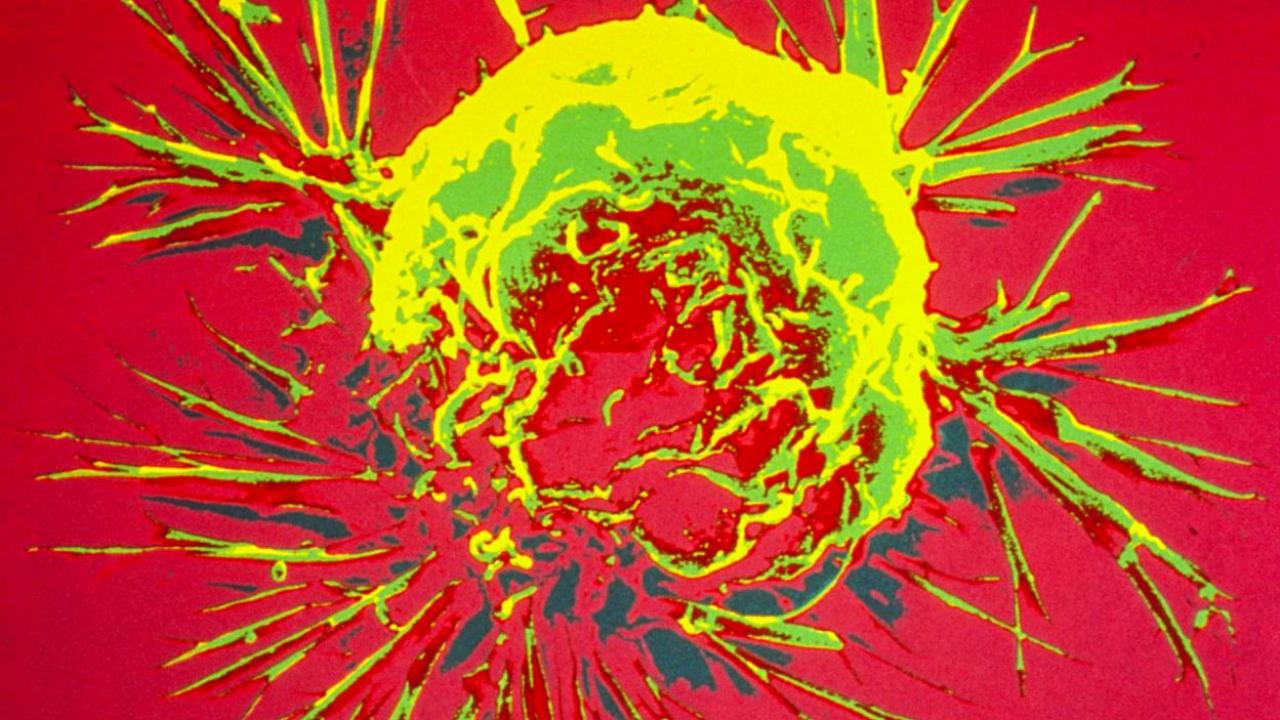 Horwitz Prize Awarded for Work on Critical Cancer Pathway | Columbia ...