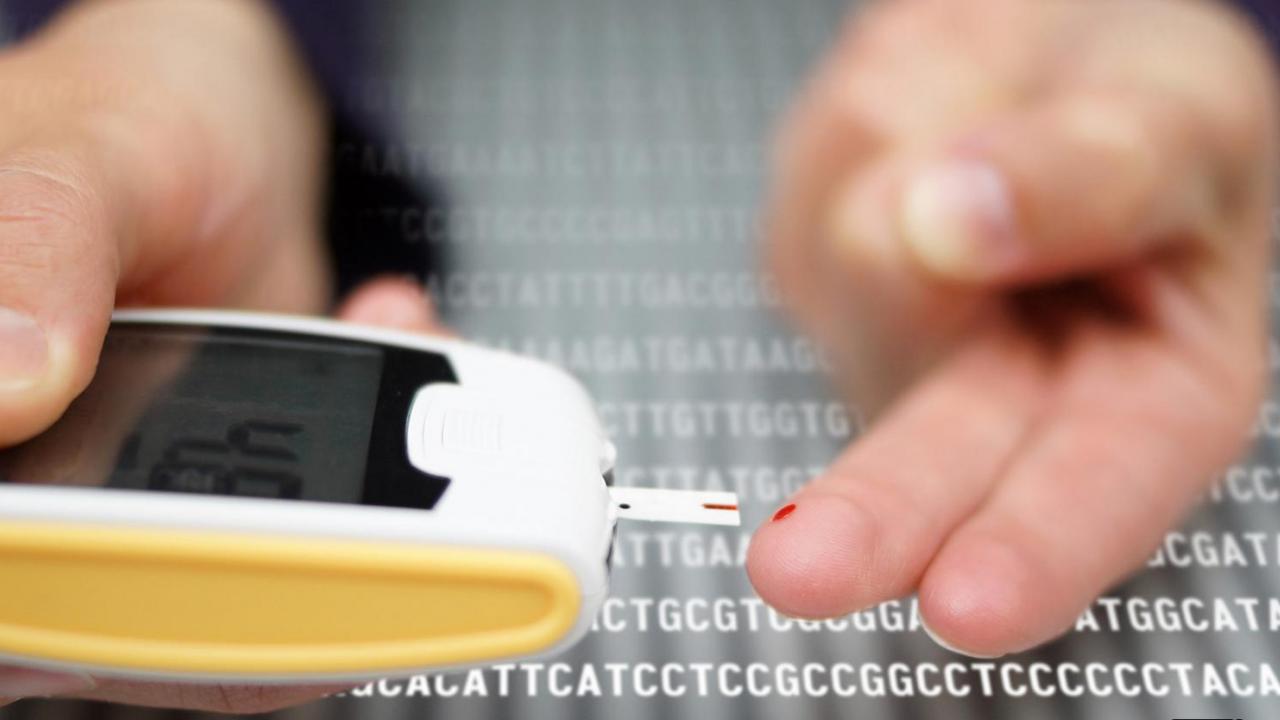 New Diabetes Gene Found | Columbia University Irving Medical Center