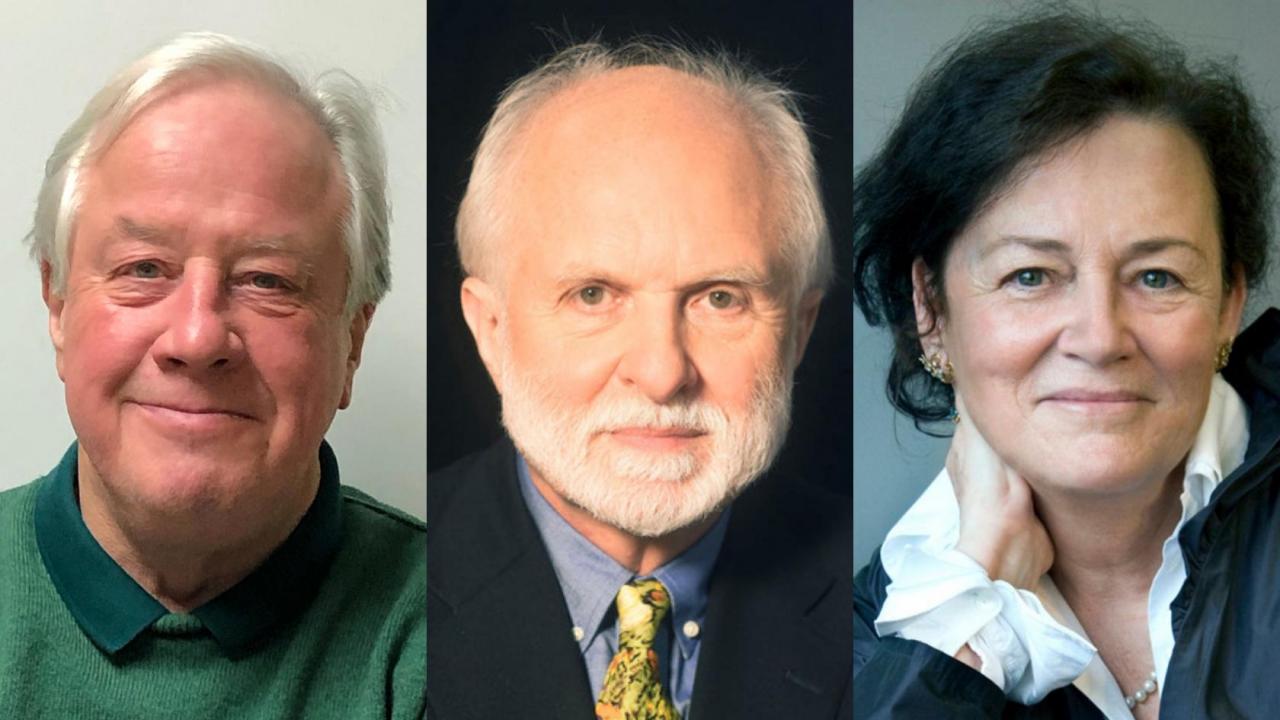 2020 Horwitz Prize Awarded to Scientists Who Revealed How the Ear and ...