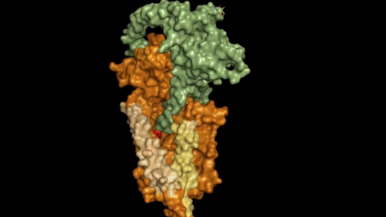 New Images of Cancer Protein Reveal Potential New Drug Target ...