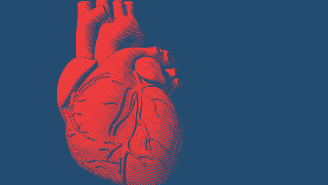 New Heart Disease Guidelines: What Patients Should Know | Columbia ...