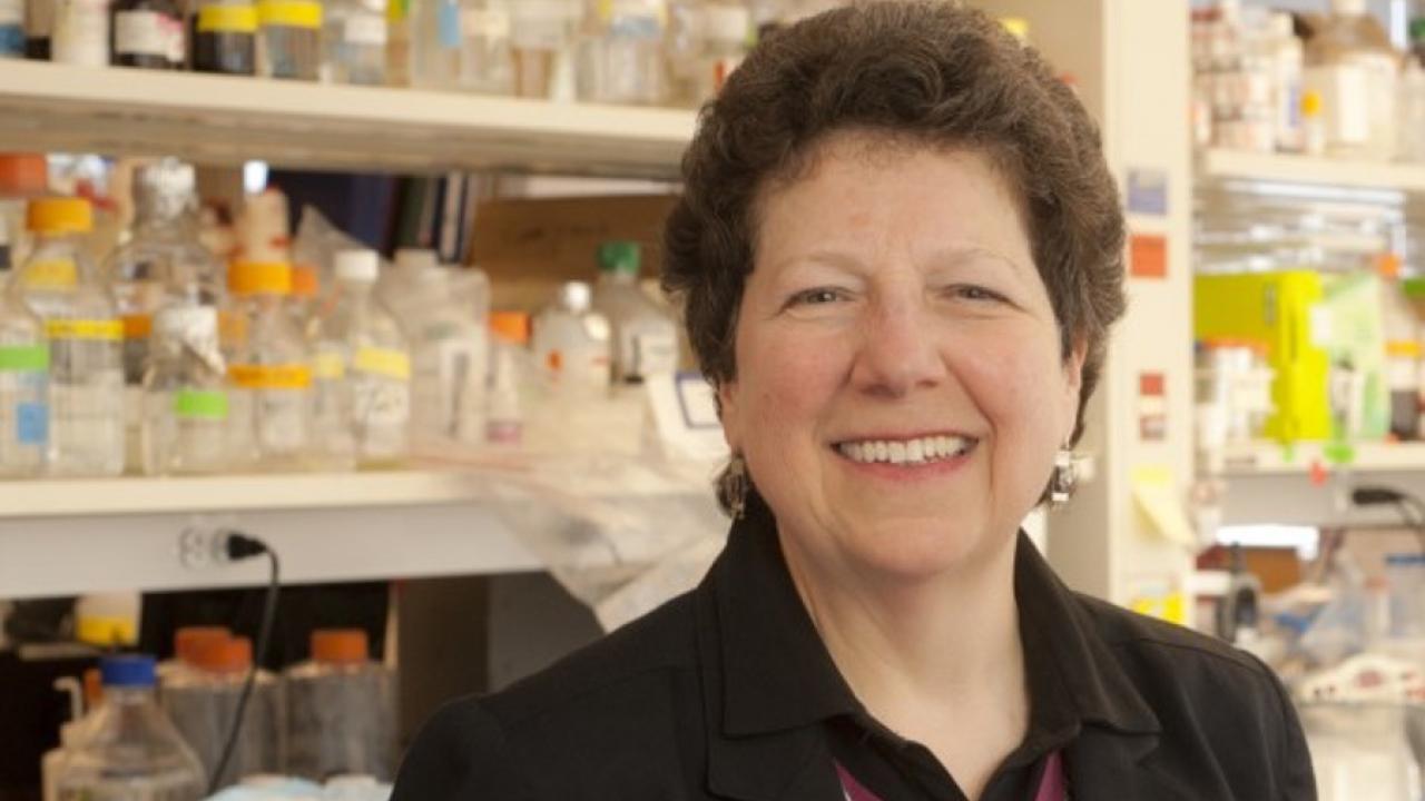Barbara B. Kahn, MD, Wins 2021 Naomi Berrie Award | Columbia University ...