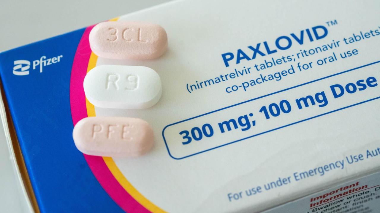 Study Shows How Paxlovid Resistance Emerges in Persistent Infections ...