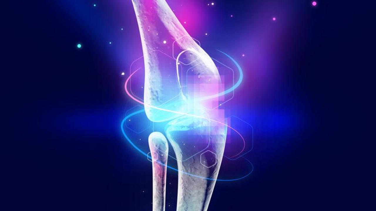 Can This “Living Knee” Revolutionize Joint Replacement? | Columbia ...