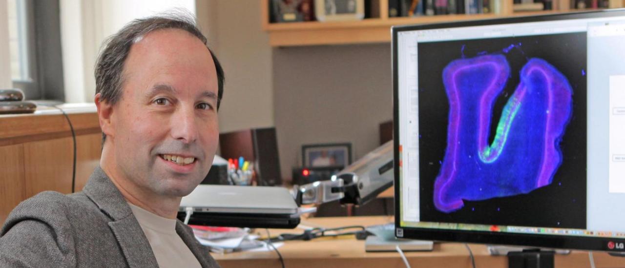 Michael Shadlen Elected to National Academy of Sciences | Columbia ...