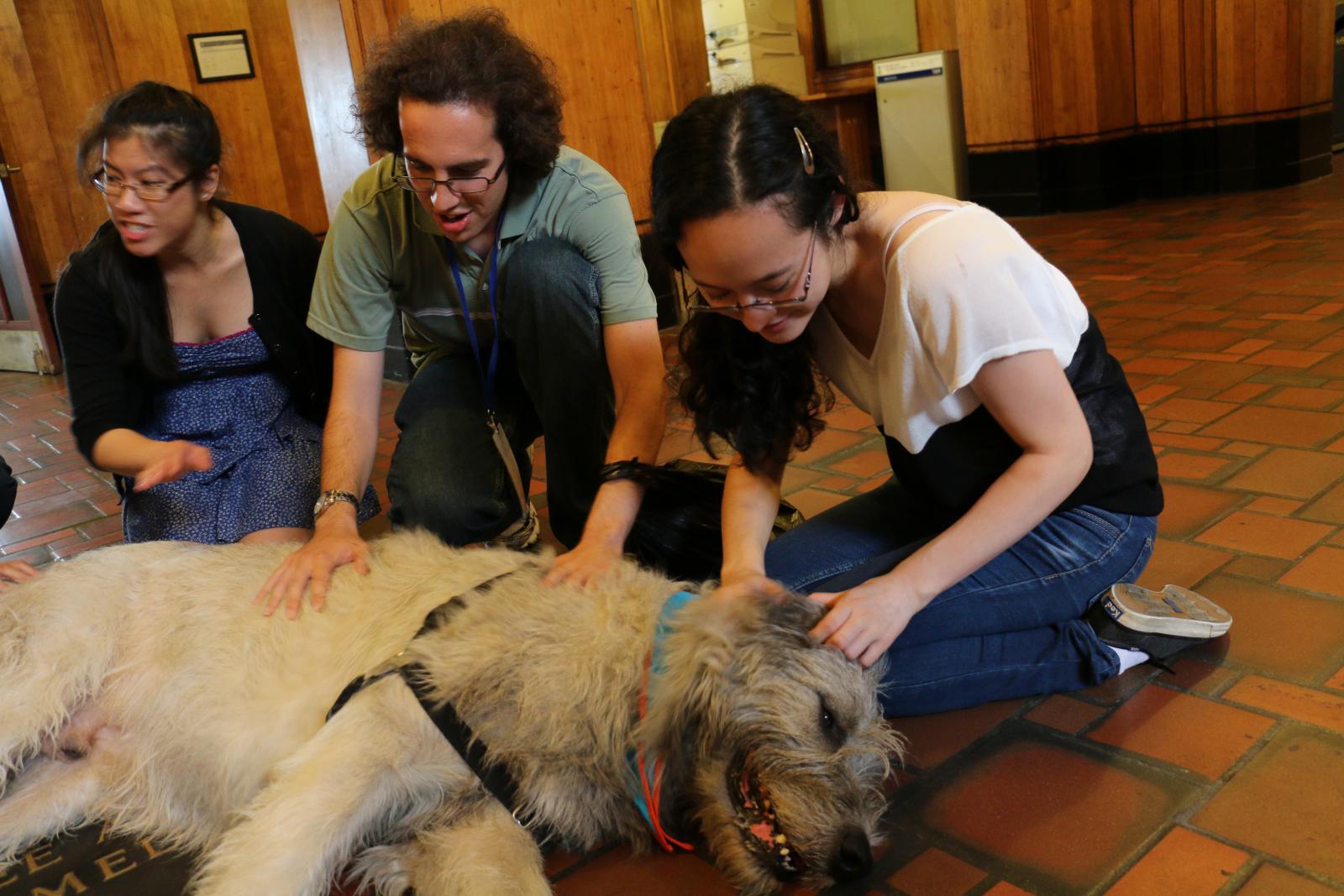 Therapy Dogs Ease Stress for Students and Staff | Columbia University ...