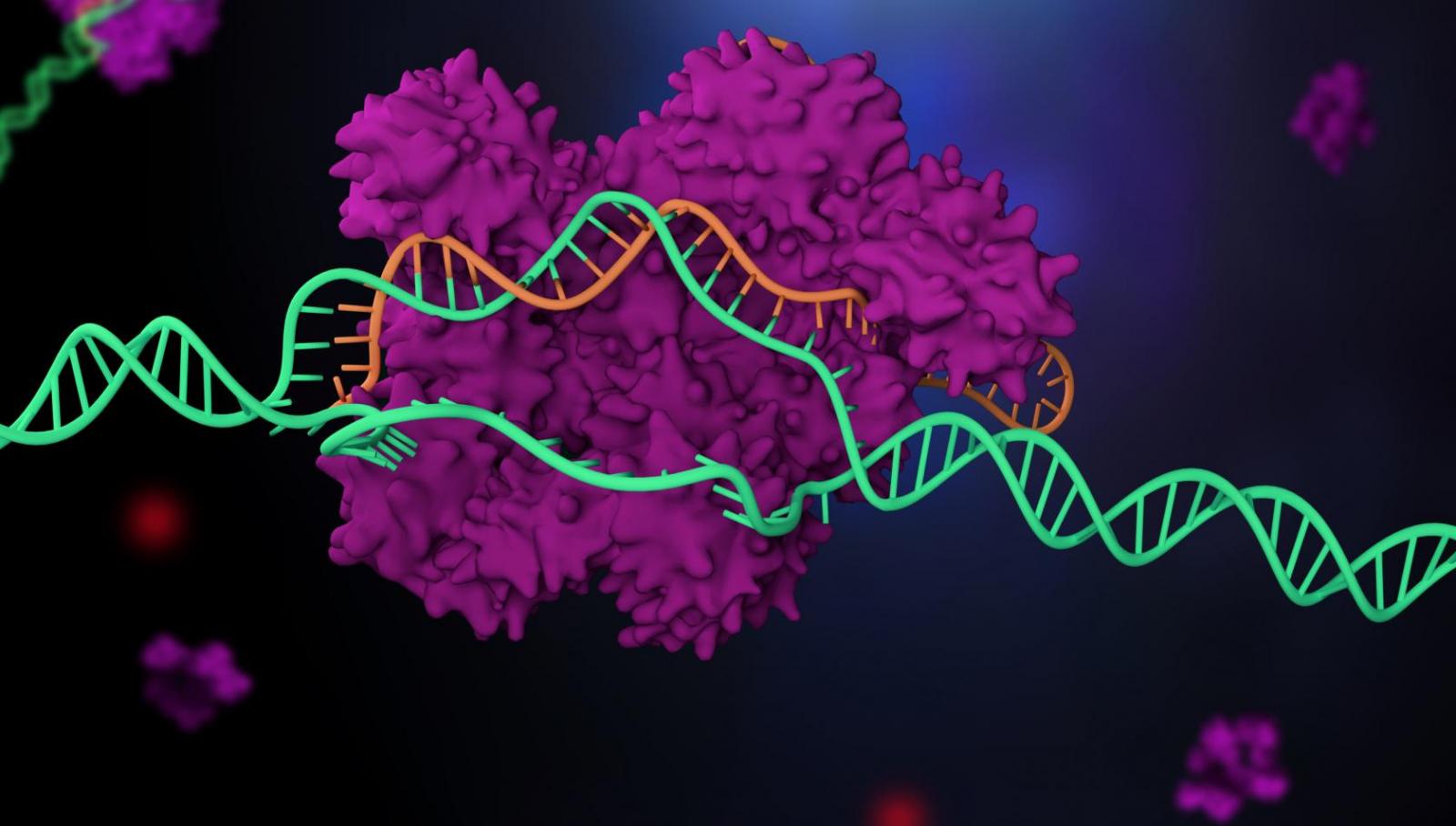 The CRISPR Revolution: What You Need to Know | Columbia University ...