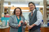 Can This “Living Knee” Revolutionize Joint Replacement? | Columbia ...