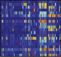 Neuroscientist Larry Abbott Elected to National Academy of Sciences ...