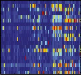 Neuroscientist Larry Abbott Elected to National Academy of Sciences ...
