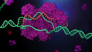 The CRISPR Revolution: What You Need to Know | Columbia University ...