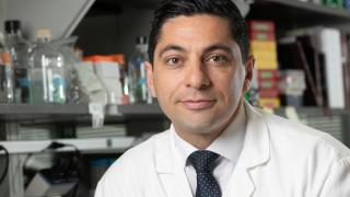 News | Columbia University Irving Medical Center