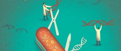 The Future of Gene Editing | Columbia University Irving Medical Center