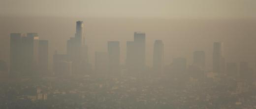 Decades of Air Pollution Undermine the Immune System | Columbia ...