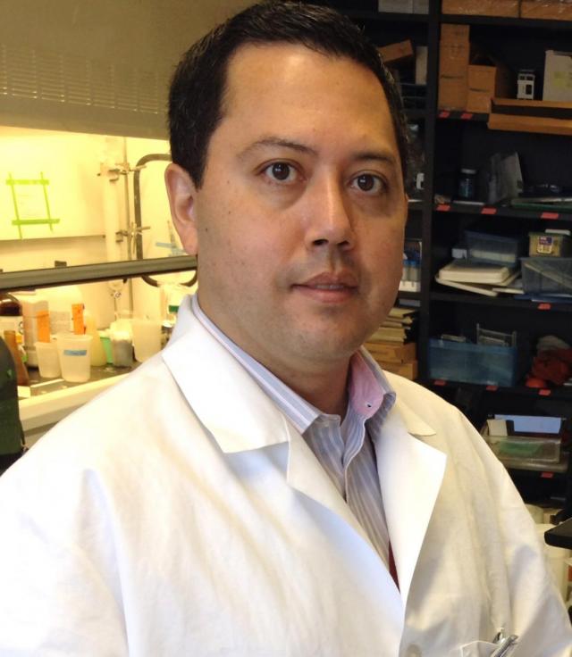P&S Names Four Physician-Scientists as 2014 Gerstner Scholars ...
