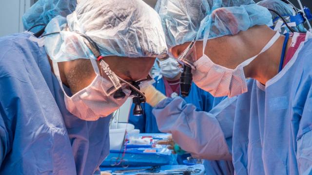 CUIMC Update | Columbia University Irving Medical Center