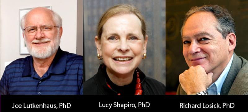 Horwitz Prize Awarded for the Discovery of Bacterial Cell Structure ...